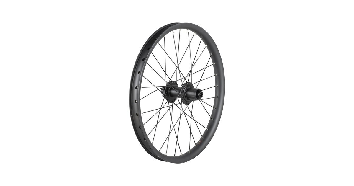 Trek Cargo Bike 6-Bolt Disc 20˝ Wheel Čierna Rear Shimano HG